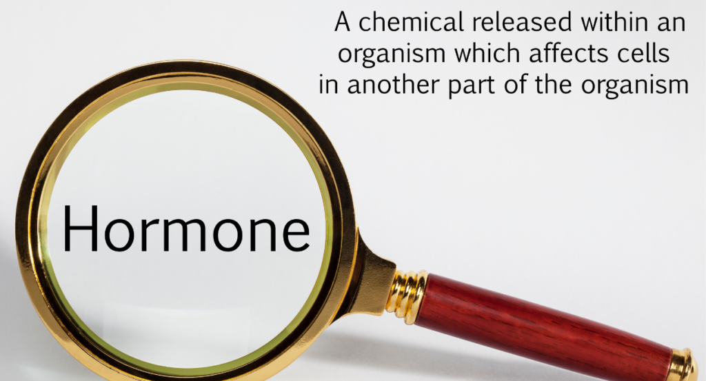 Understanding Hormones In The Human Body - Nursing Scholar 101